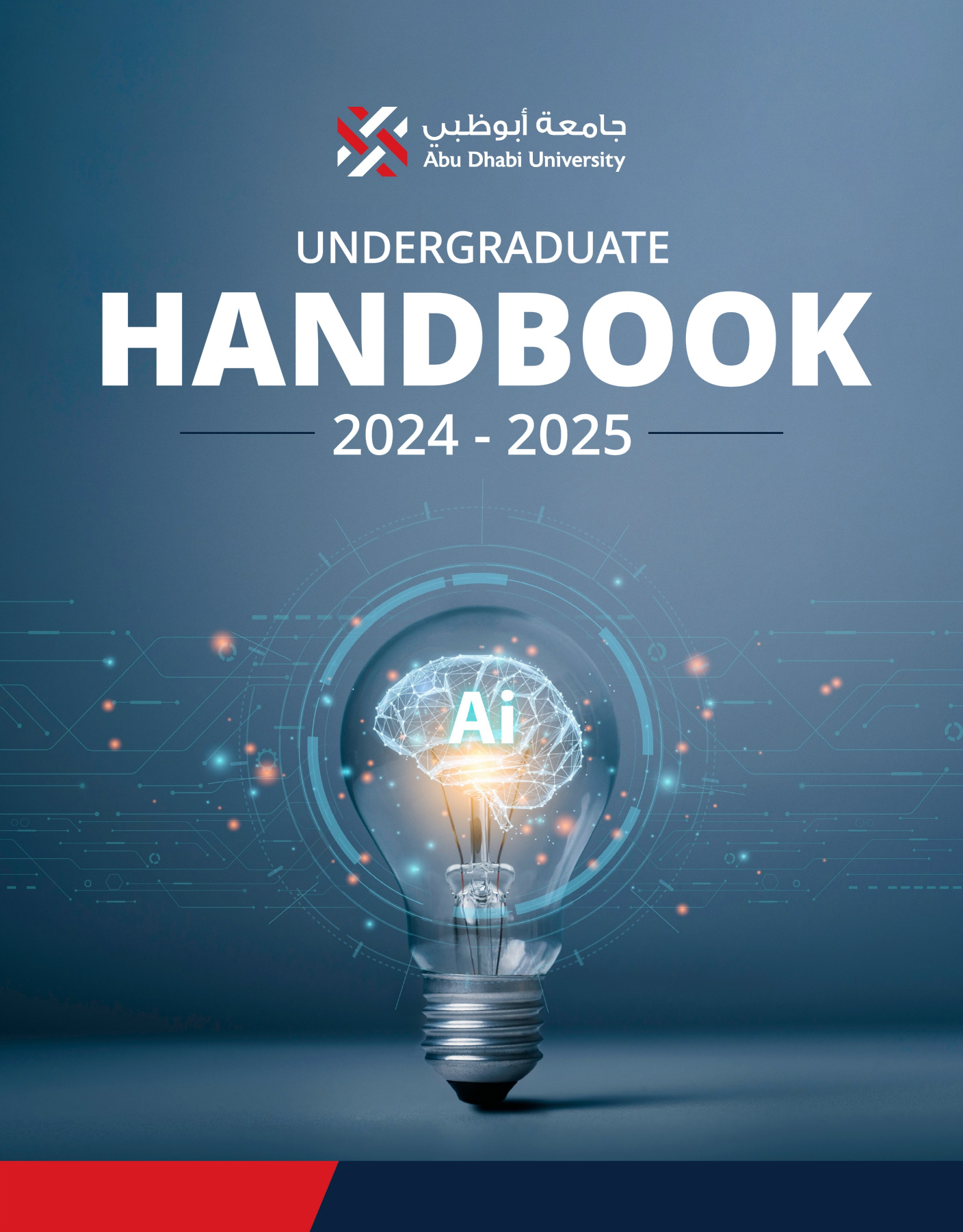Undergraduate Handbook 2024-25